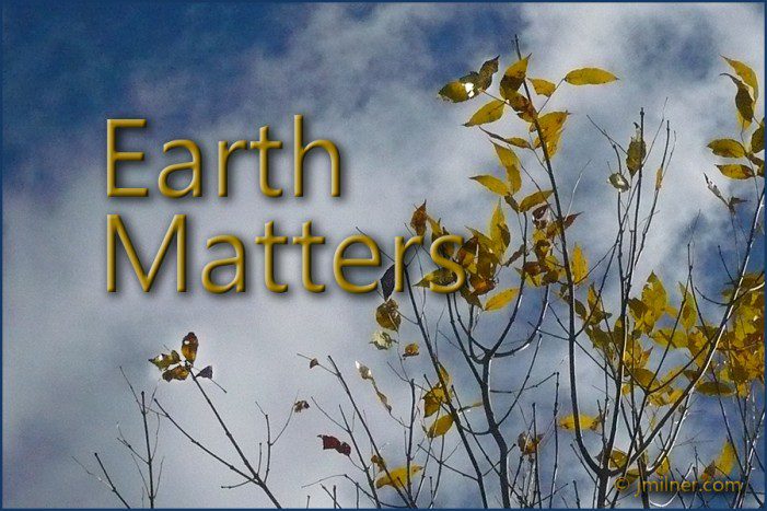 Earth Matters by Jacqueline Milner – First Snow Energy Saving Tips for ...